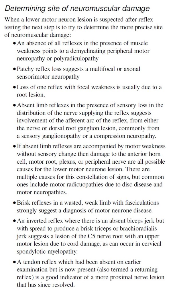 Alt om reflekser – Manuellterapeuten