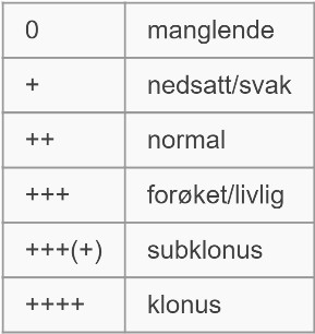 Alt om reflekser – Manuellterapeuten